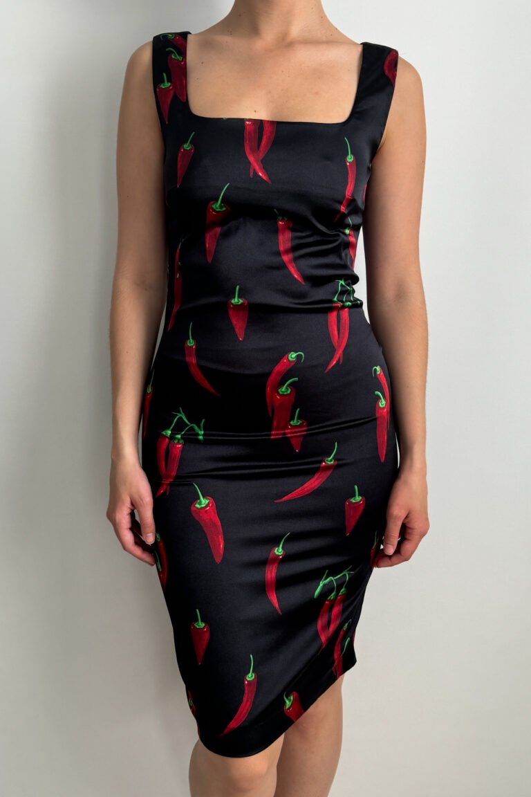 D&G 1999 Kendall Jenner Chili Pepper Dress (XS-S) - EMERIEU